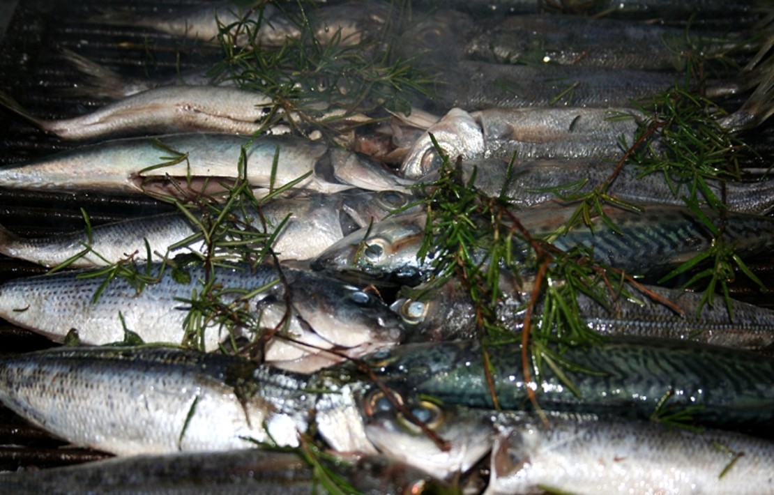 RYBY Z GRILLA - PROSTY SPOSÓB NA ZDROWY OBIAD